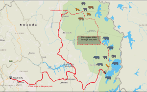 2 Days Safari trip to Akagera National Park